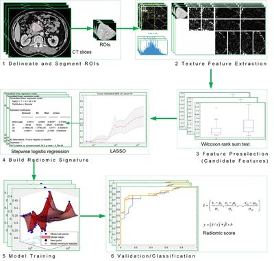 Frontiers | Development and Validation of a Novel Radiomics-Based Nomogram With Machine Learning ...